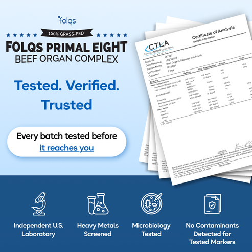 Primal Eight Beef Organ Complex – Folqs